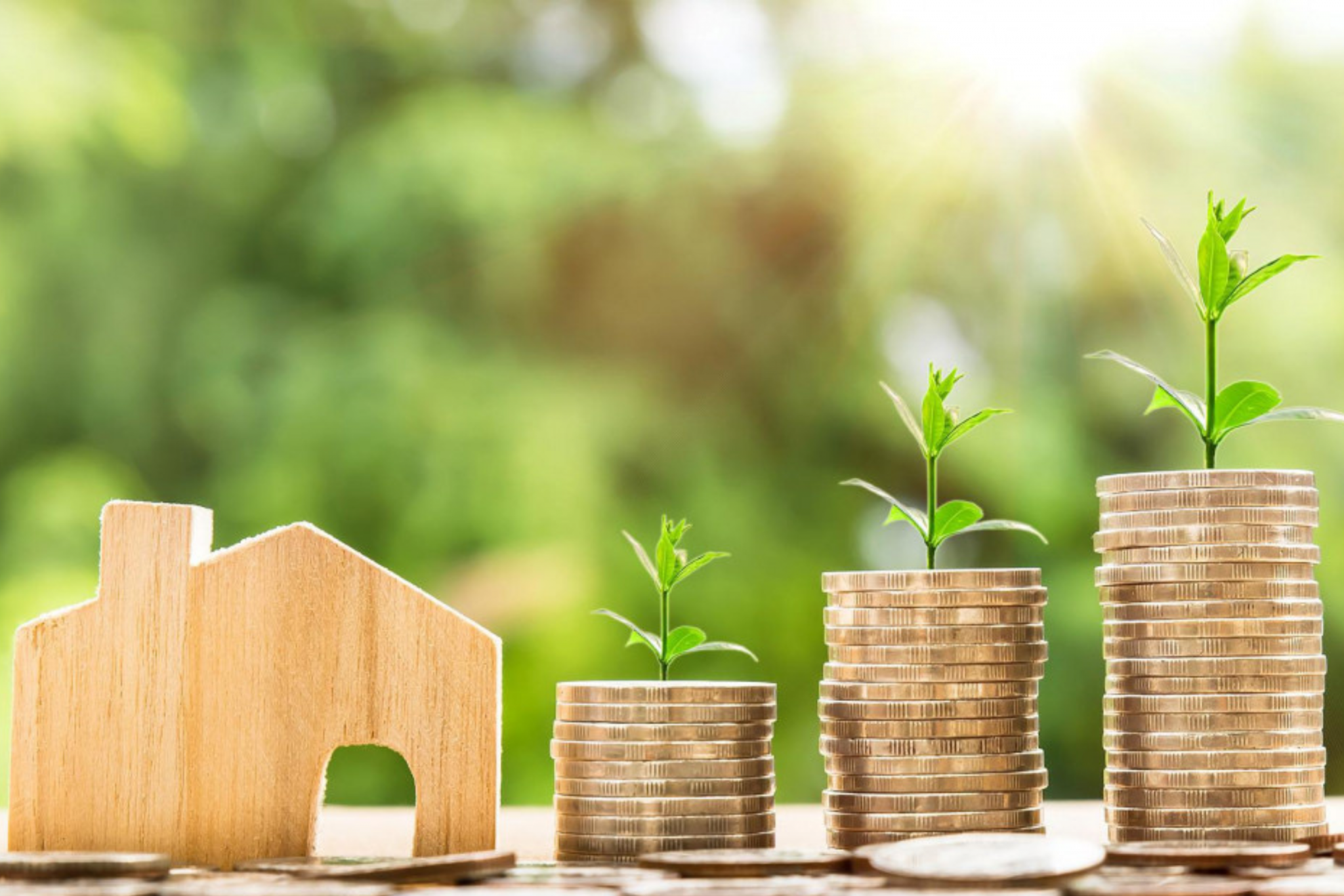 How to Pay Your Real Estate Tax in the Philippines? | VIMI